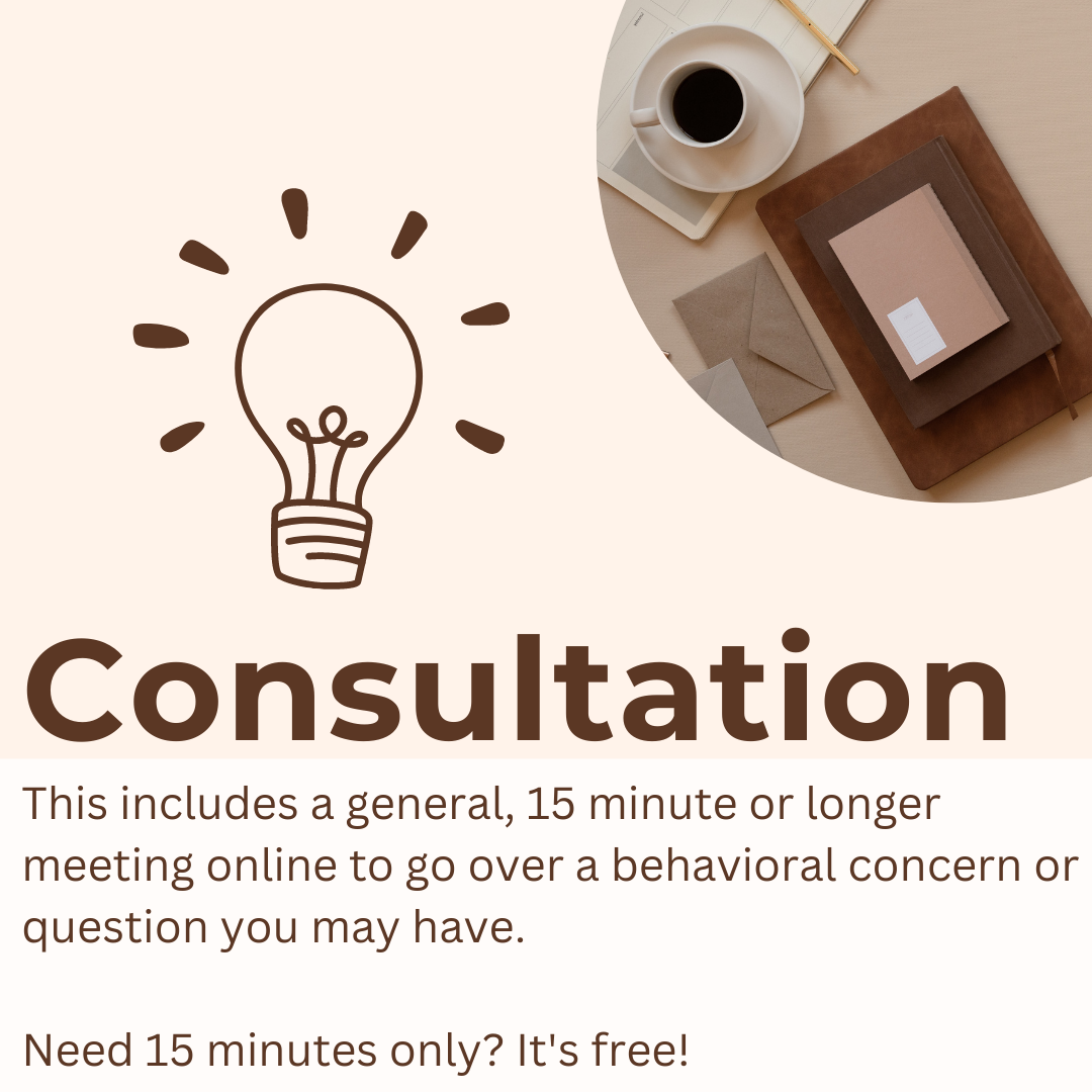 Services – H2 CONSULTATION SERVICES, LLC